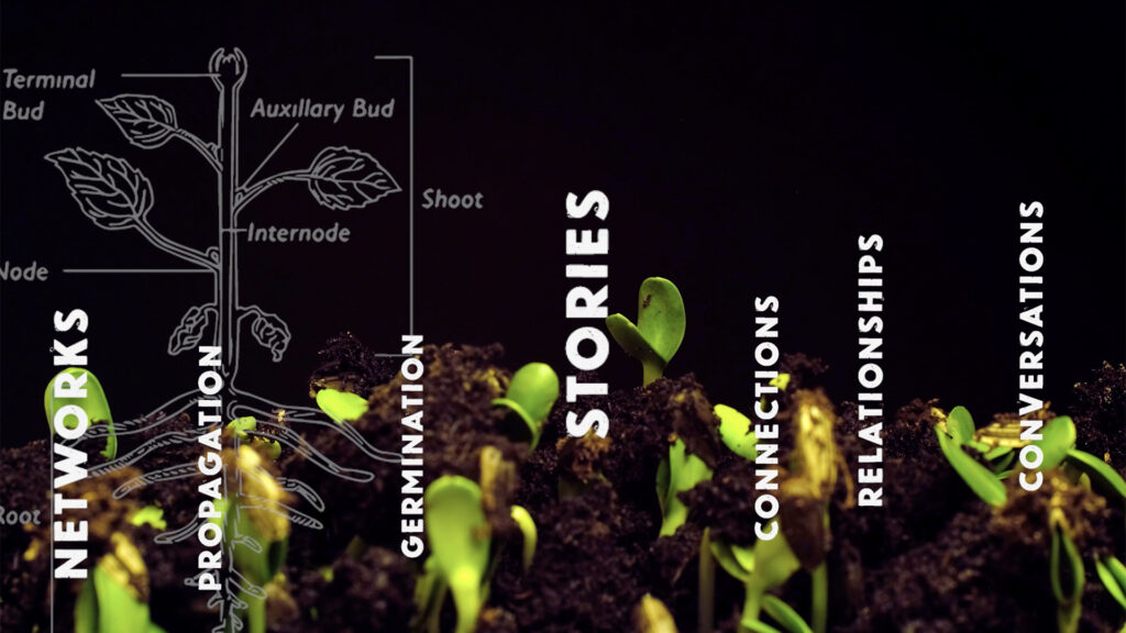 How does your PR grow? What PR practitioners can learn from biodynamic ...